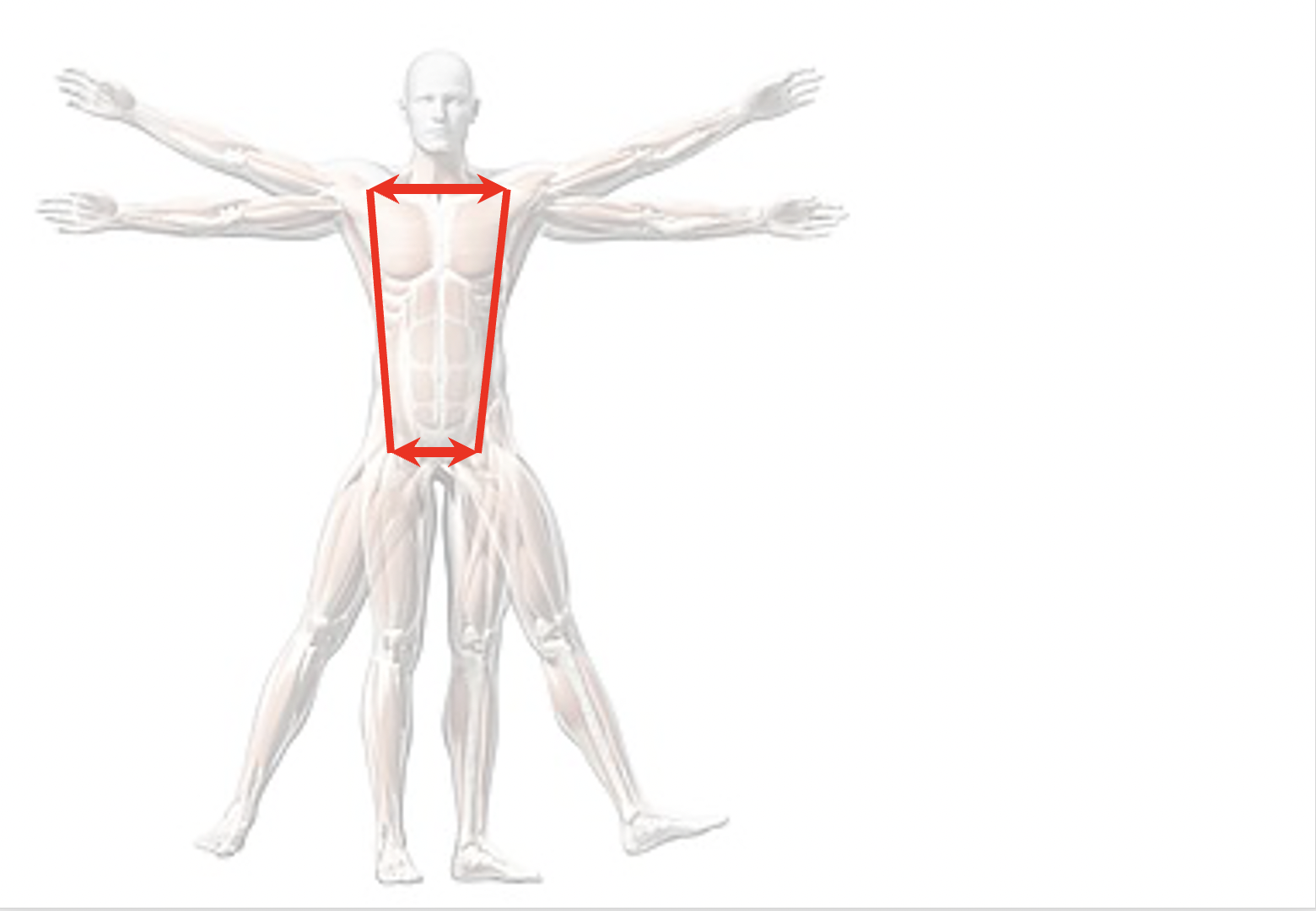 昭和大学 リカレントカレッジ2021秋 | 都立大学の整体 TKC BODY DESIGN